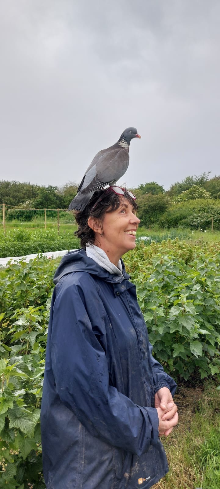 Lauriston Farm - TCV Stories