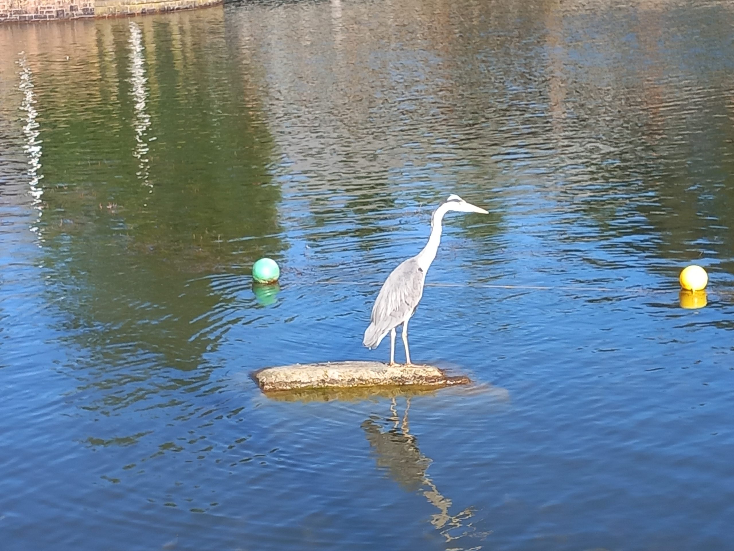 My Time as an EPIC Project Volunteer - TCV Stories